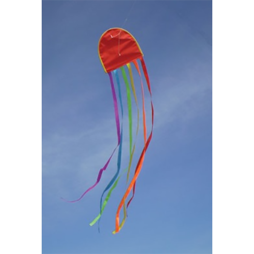 Jellyfish long Kite – realtoys