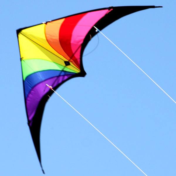 Prism Stunt Kite – realtoys